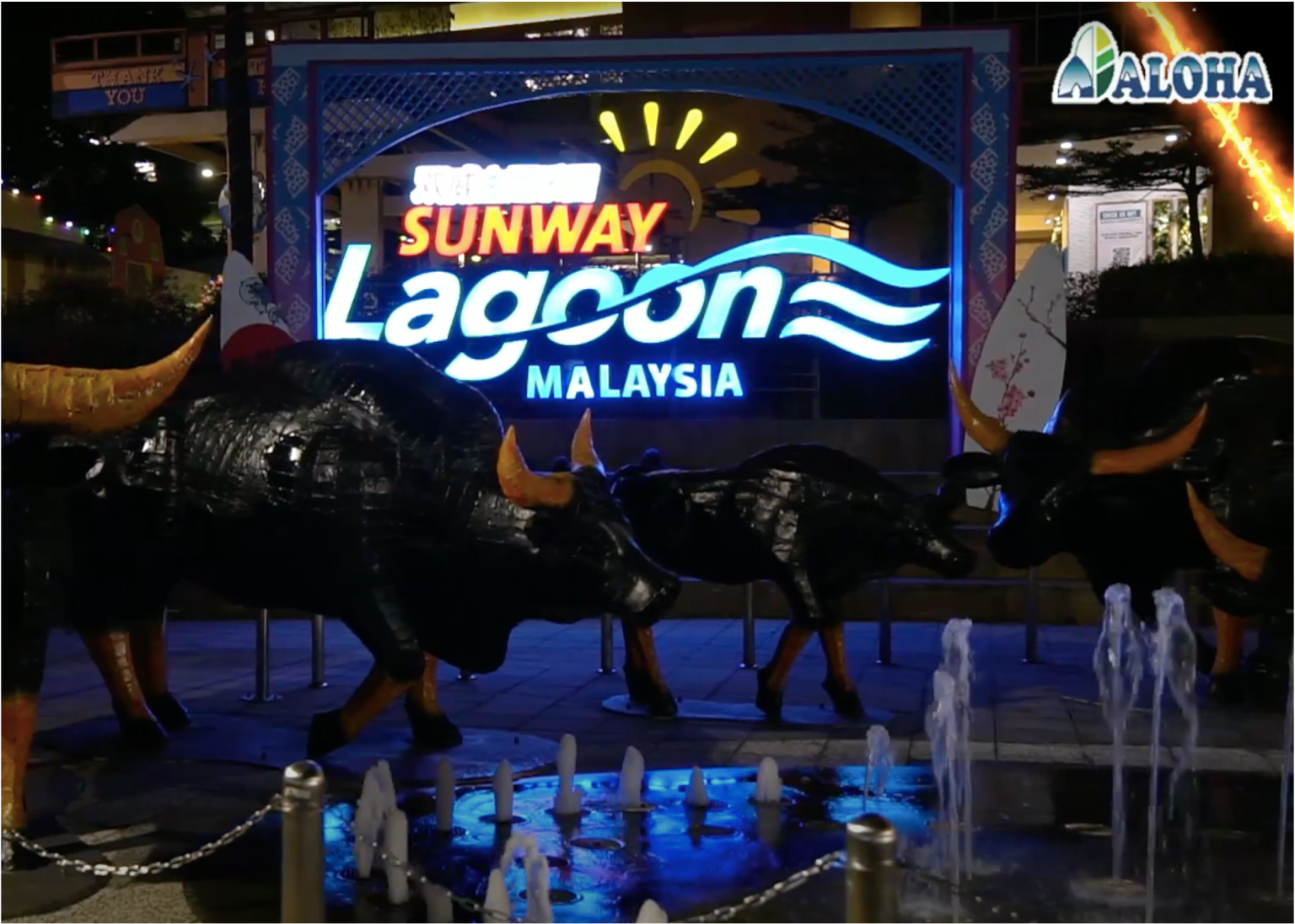 Videos | ALOHA INTERNATIONAL